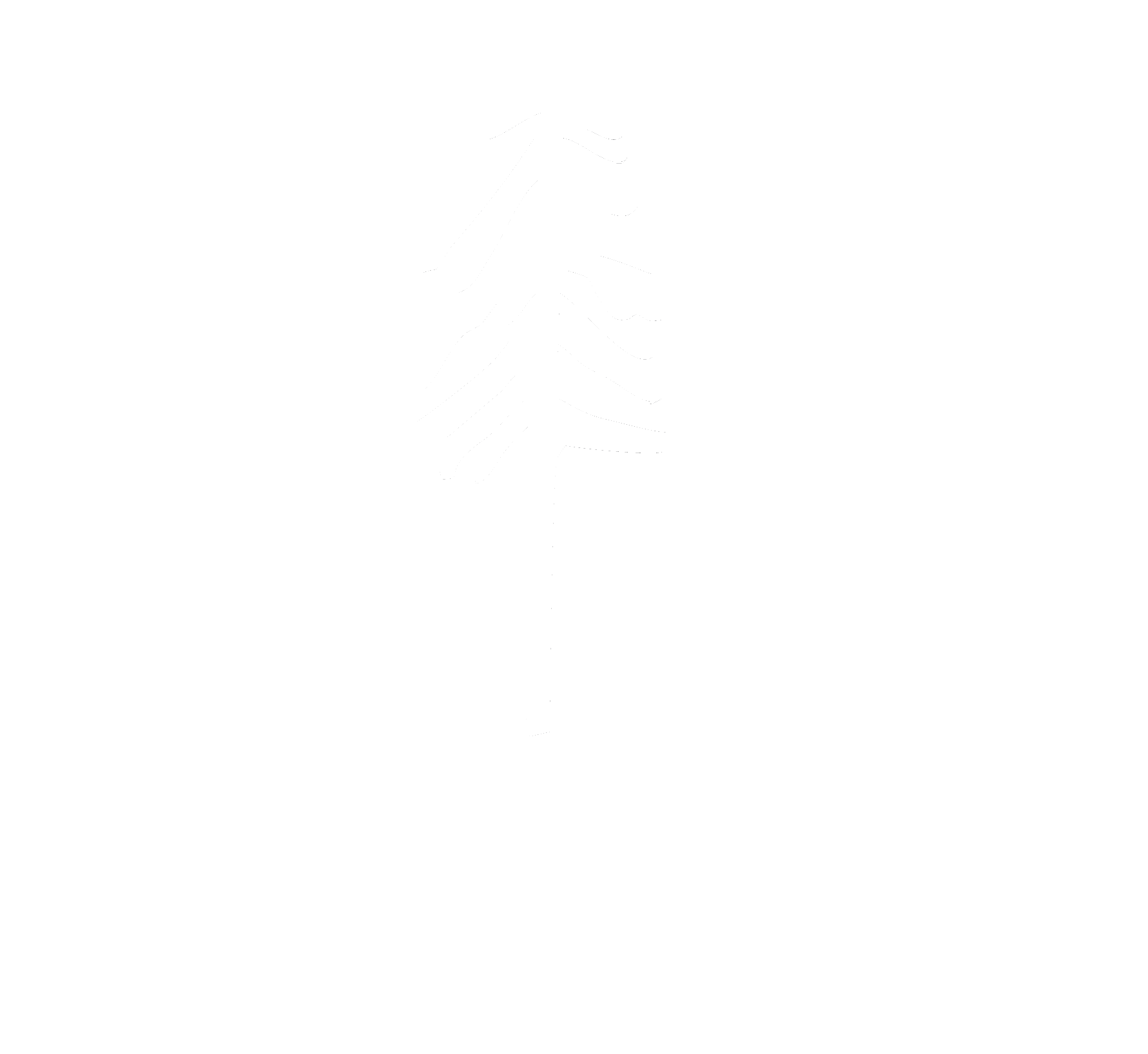 YOLKA – Yolka is about people. Yolka is about the experience they get.